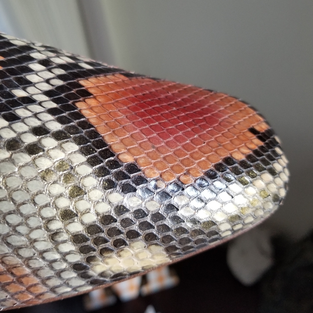 New Stuart Weitzman Snake Leather Coral Brown Mules L… - Gem